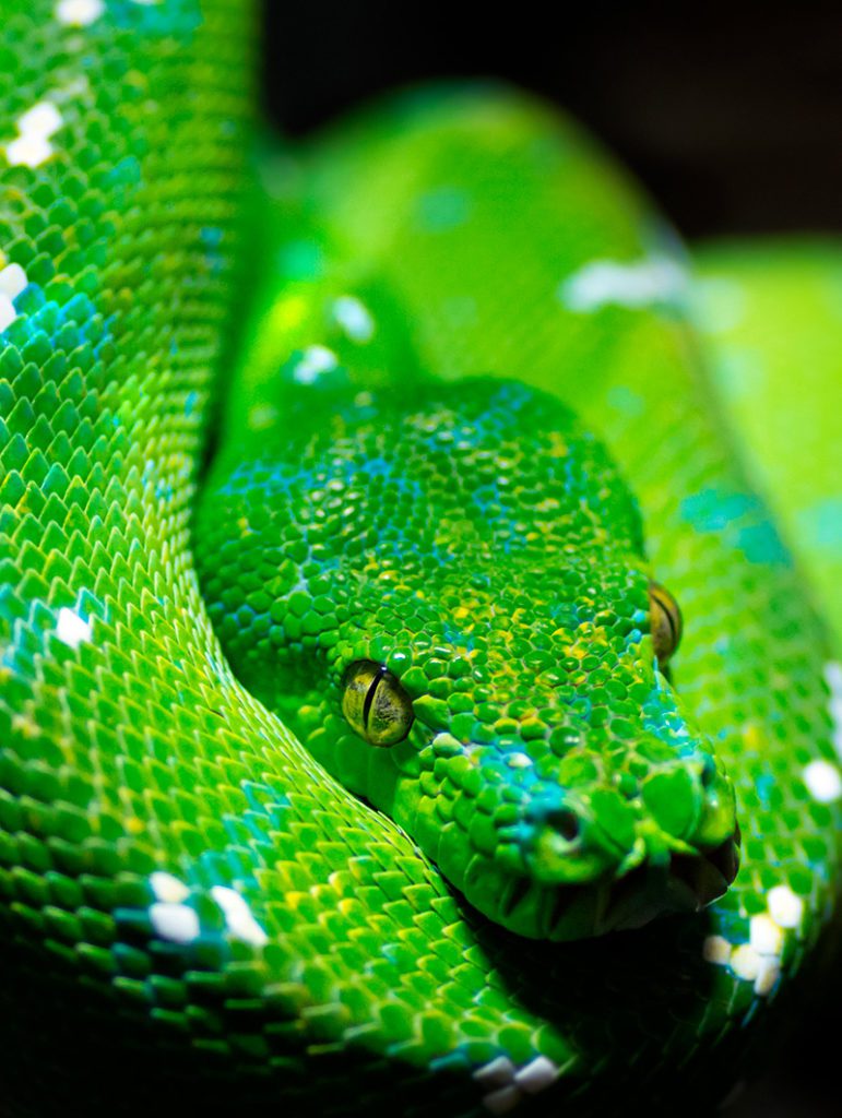 Tu tienda de mascotas en Barcelona | Monanimal